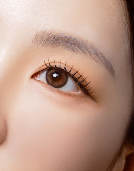 Honey Suga Daily Brown Contacts with Blue-Light & UV Protection ...